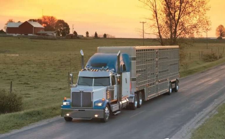 Western Star 4900 SF Set-Forward Axle Truck (4x2, 6x4) Specs, Weight ...